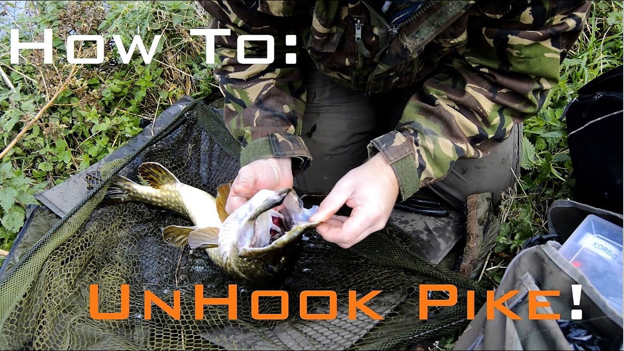 How to: Unhooking a Pike - YouTube