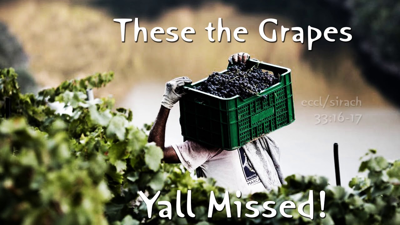 The Last of the Grape Gatherers [ Ecclesiasticus / Sirach 33:16,17 ...
