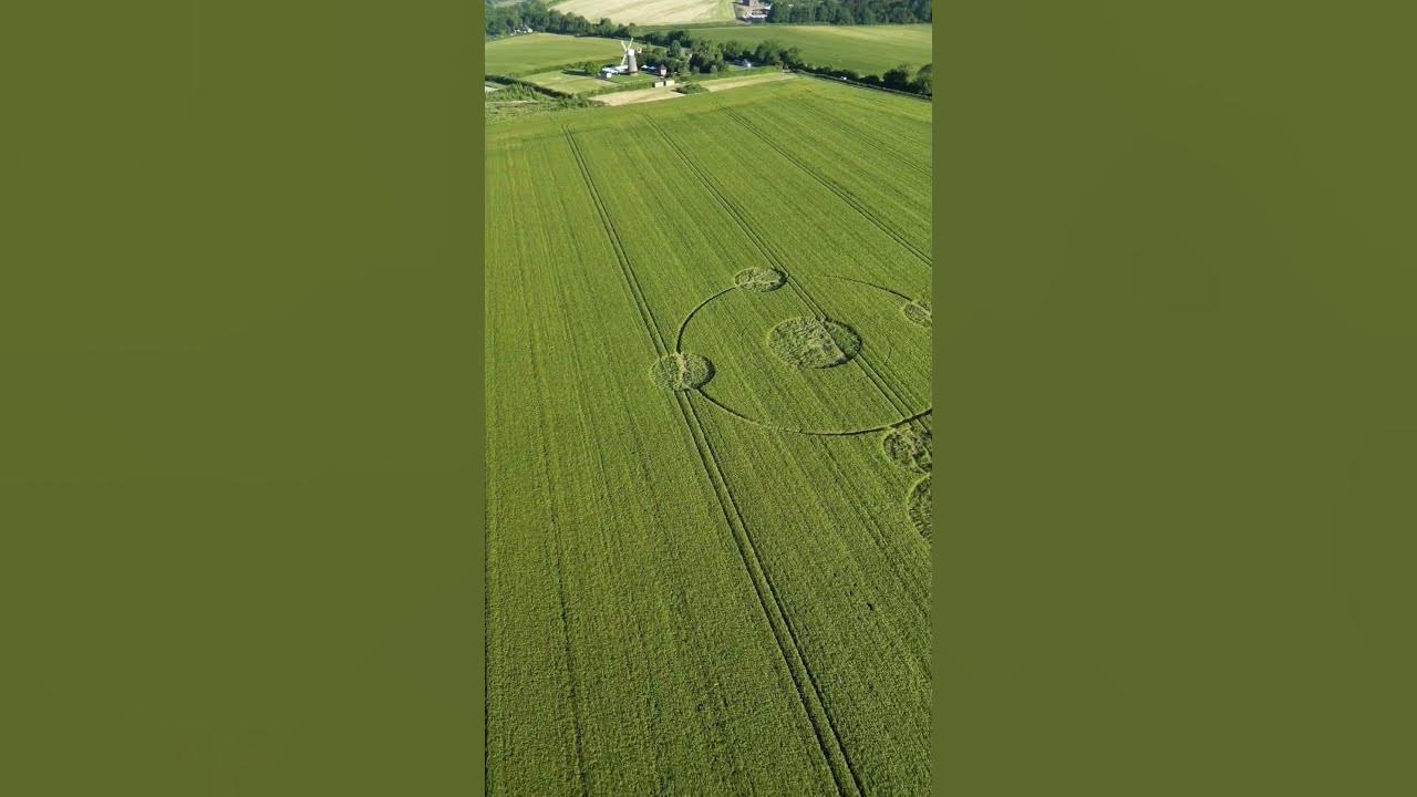 The first crop circle in Wiltshire,UK 2024! #djimini3pro #shorts #cropcirclesfromtheair # ...