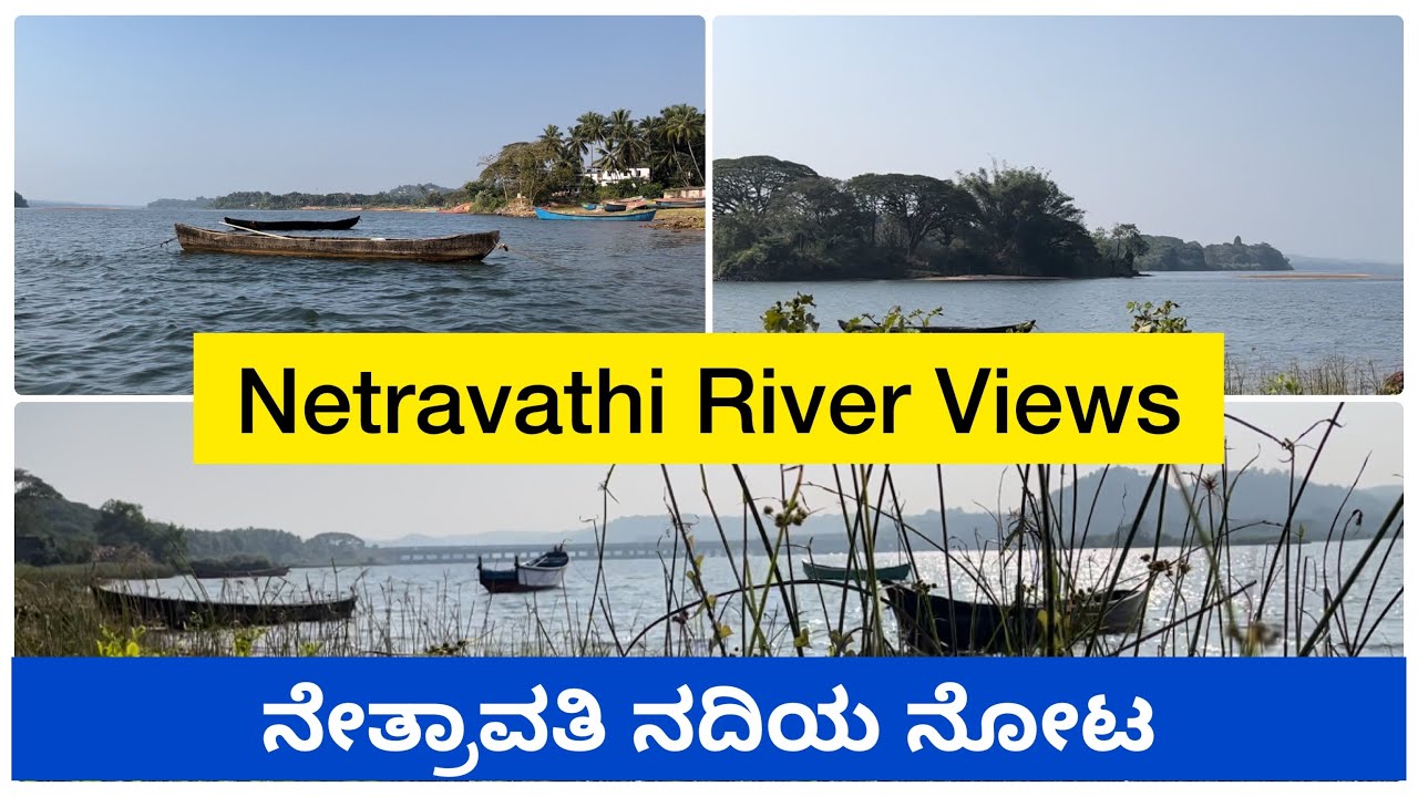 | Netravathi River view | ನೇತ್ರಾವತಿ ನದಿ | ಮಂಗಳೂರು | ದಕ್ಷಿಣ ಕನ್ನಡ | # ...