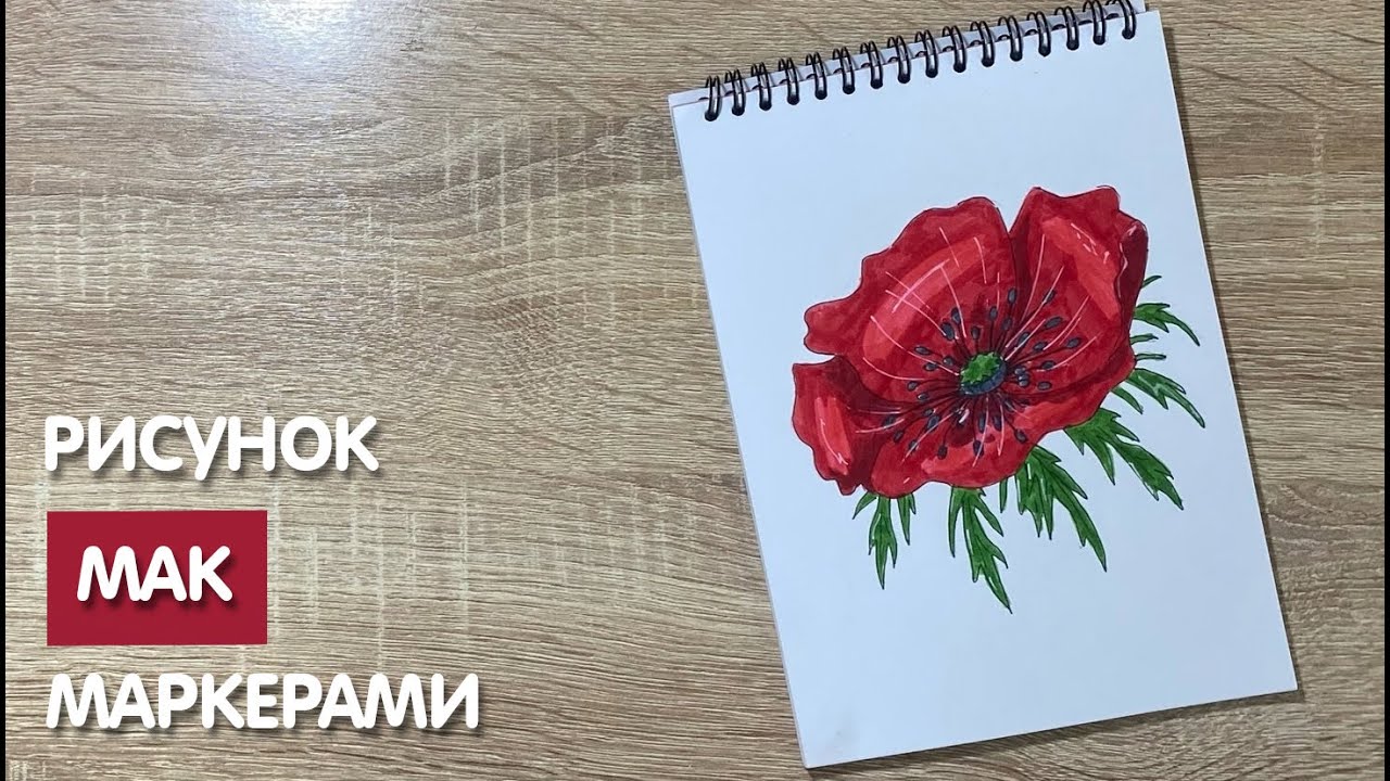 Как нарисовать мак карандашом и скетч маркерами Рисунок для детей