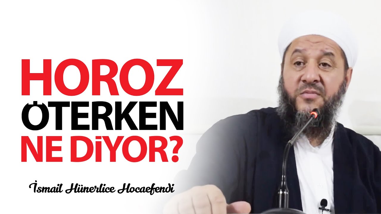 HOROZ ÖTERKEN NE DİYOR? - İsmail Hünerlice Hocaefendi - YouTube