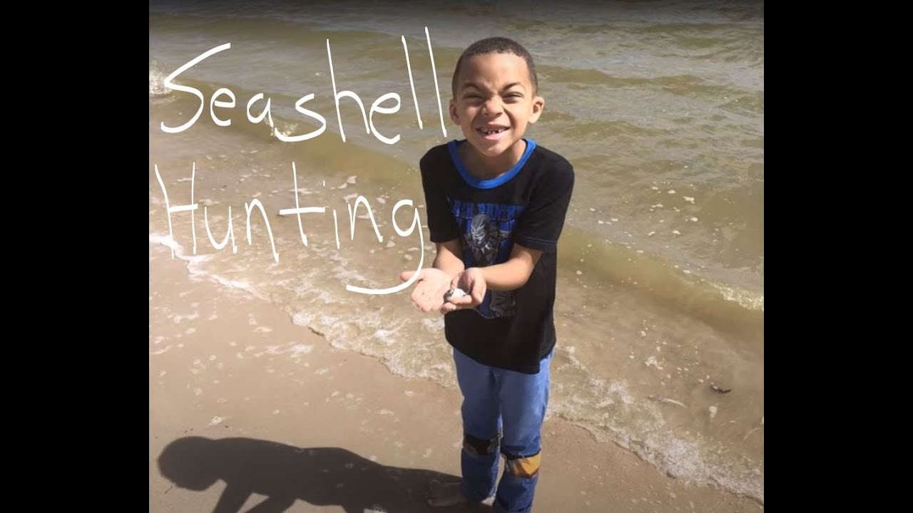 Seashell Hunting - YouTube