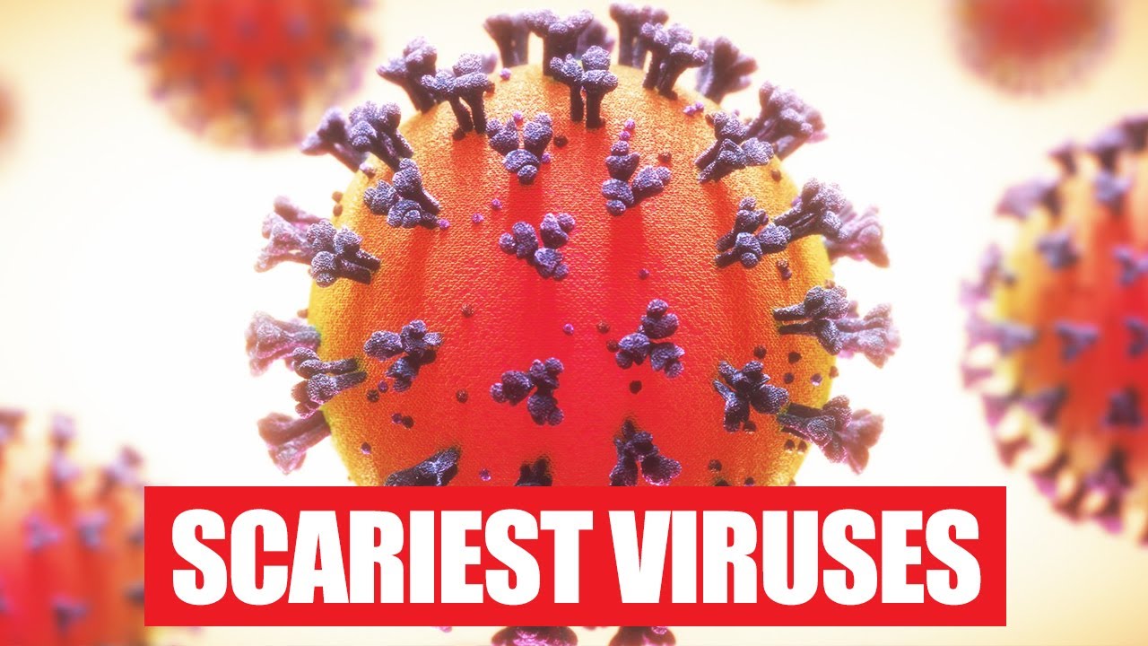 The Scariest Viruses To Ever Exist - YouTube