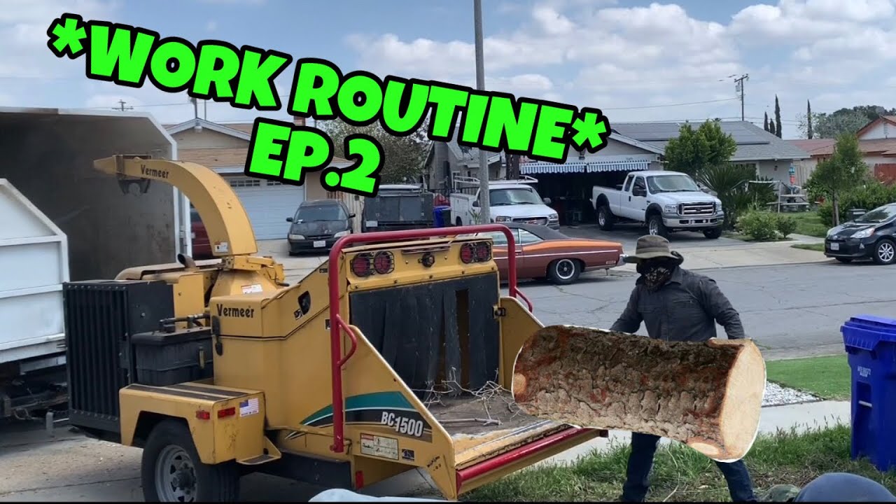 Branch Haul & Stump Removal - YouTube