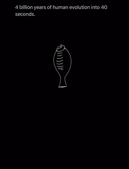 4 billion years of #evolution in 40seconds - YouTube