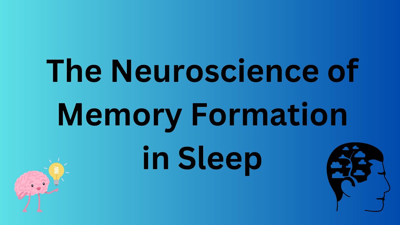 The Neuroscience of Memory Formation in Sleep - YouTube