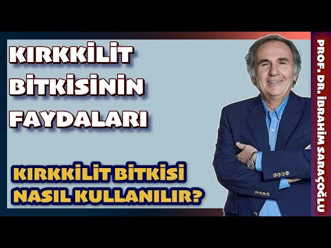 KIRKKİLİT BİTKİSİNİN FAYDALARI. #kırkkilit #ibrahimsaraçoğlu #