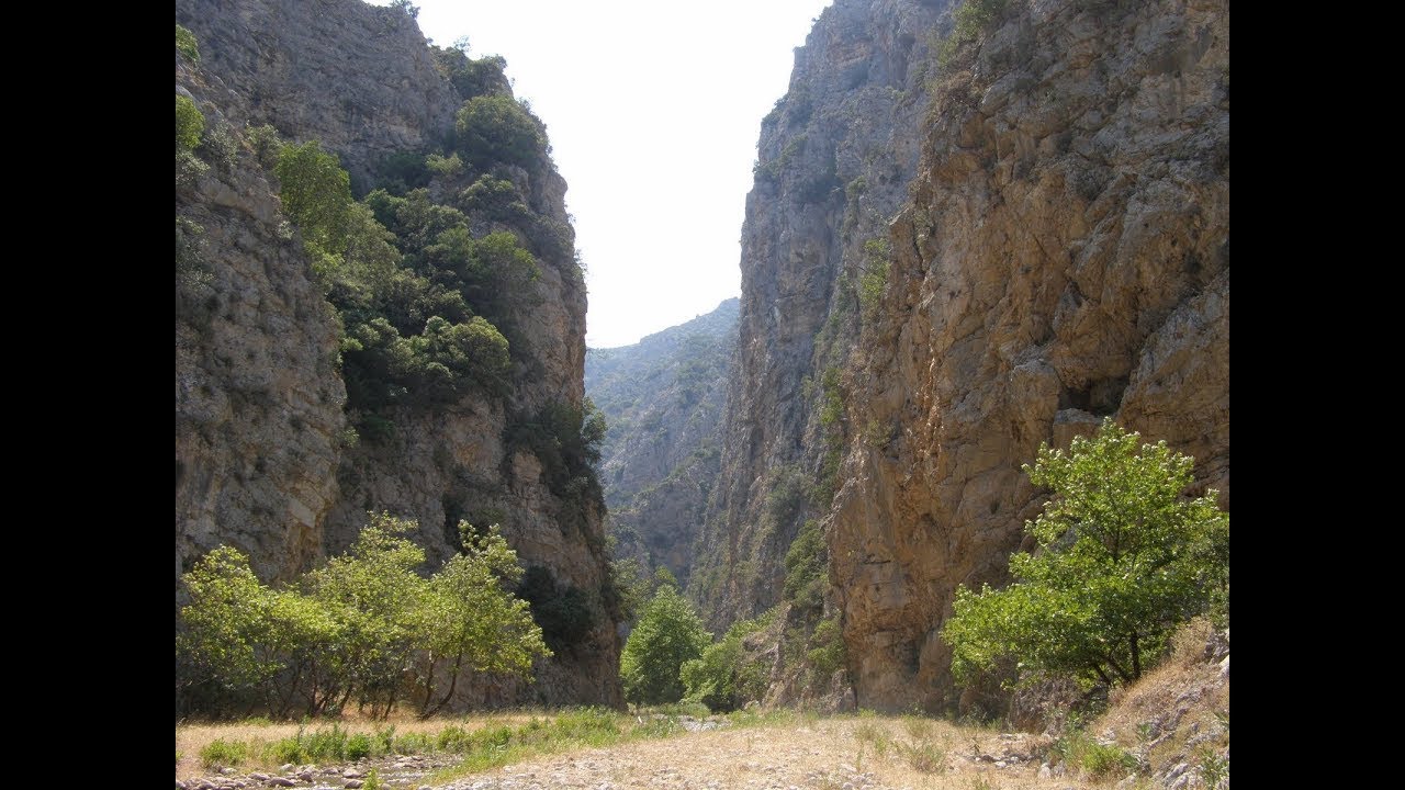 ΔΙΑΒΑΙΝΟΝΤΑΣ ΤΗΝ ΑΝΟΠΑΙΑ ΑΤΡΑΠΟ 2021 15/7/2021 ΕΠΕΙΣΟΔΙΟ 1 . Η ΑΡΧΗ ΤΟΥ ...