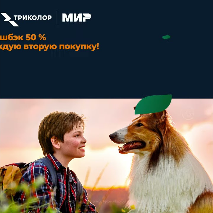 Смотрите Триколор с выгодой! - YouTube