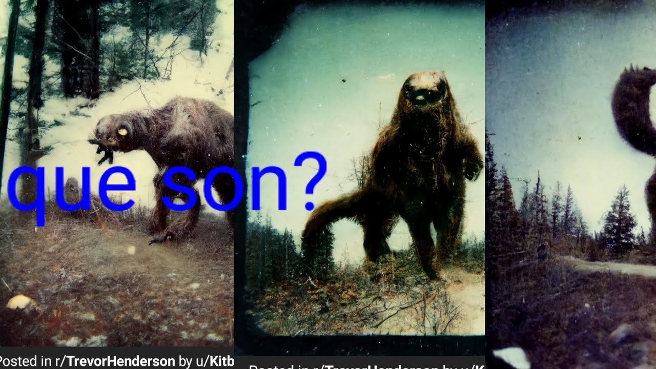 que son Canada creatures - YouTube