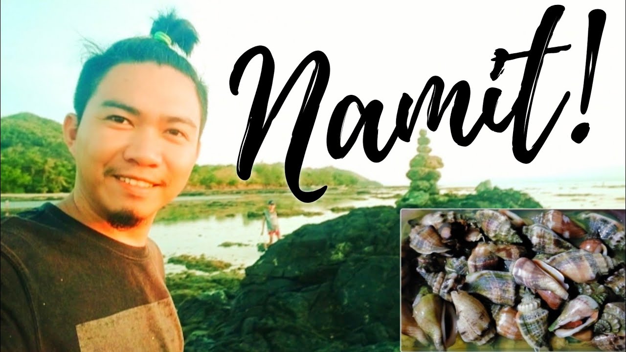 SIKAD-SIKAD (JUMPING SNAIL) CATCH and COOK ft. BRGY. DAO_JEM CAGAYAN ...