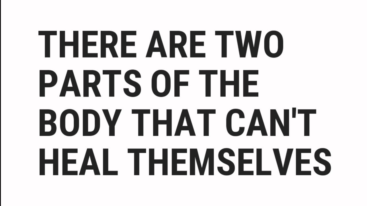 There Are Two Parts Of The Body That Can't Heal Themselves | True or ...
