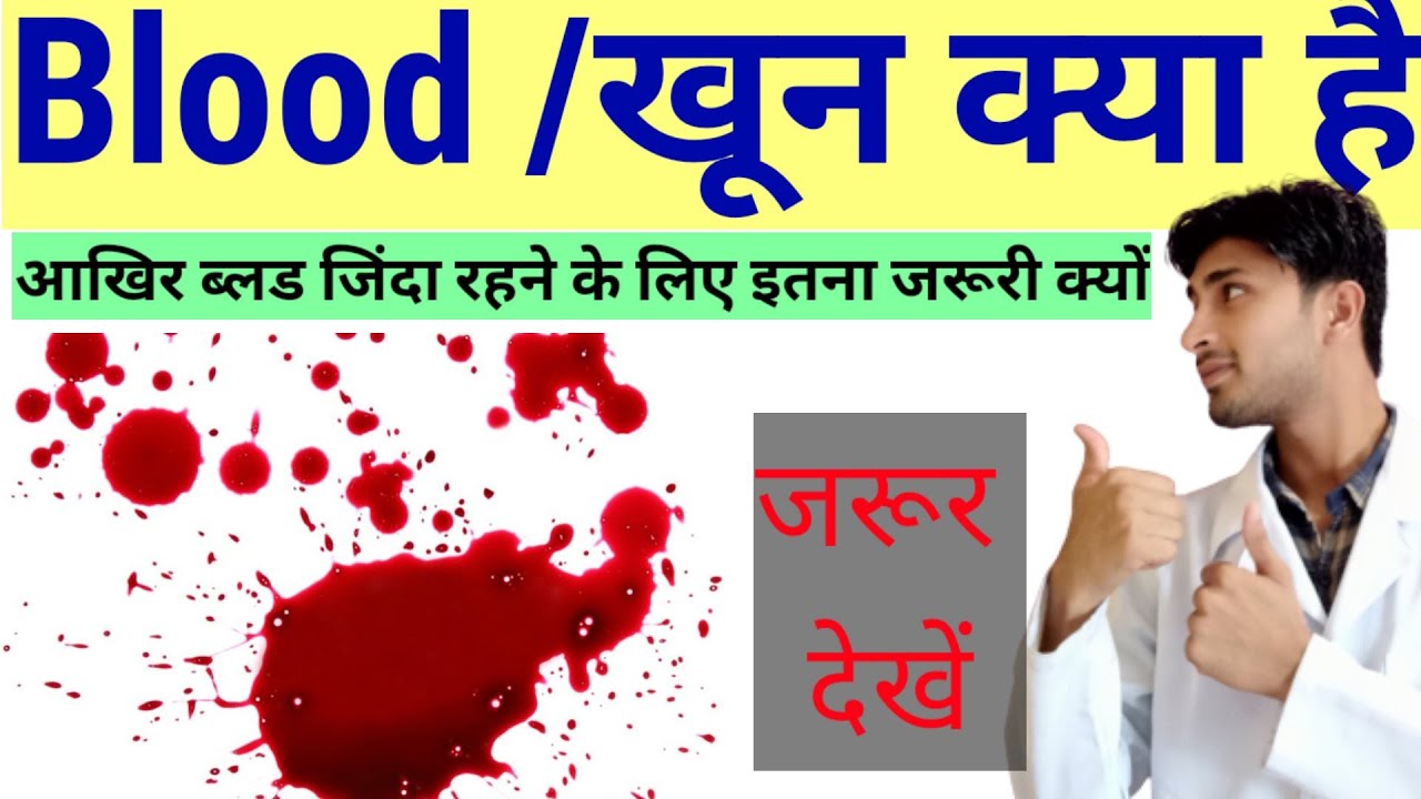 BLOOD What Is Blood In Hindi Physiolody Of Blood YouTube BLOOD What Is Blood In Hindi Physiolody Of Blood YouTube