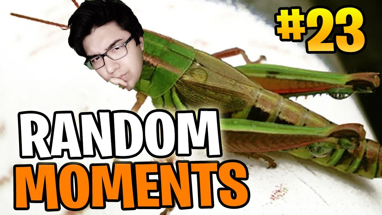 RANDOM MOMENTS #23 - YouTube