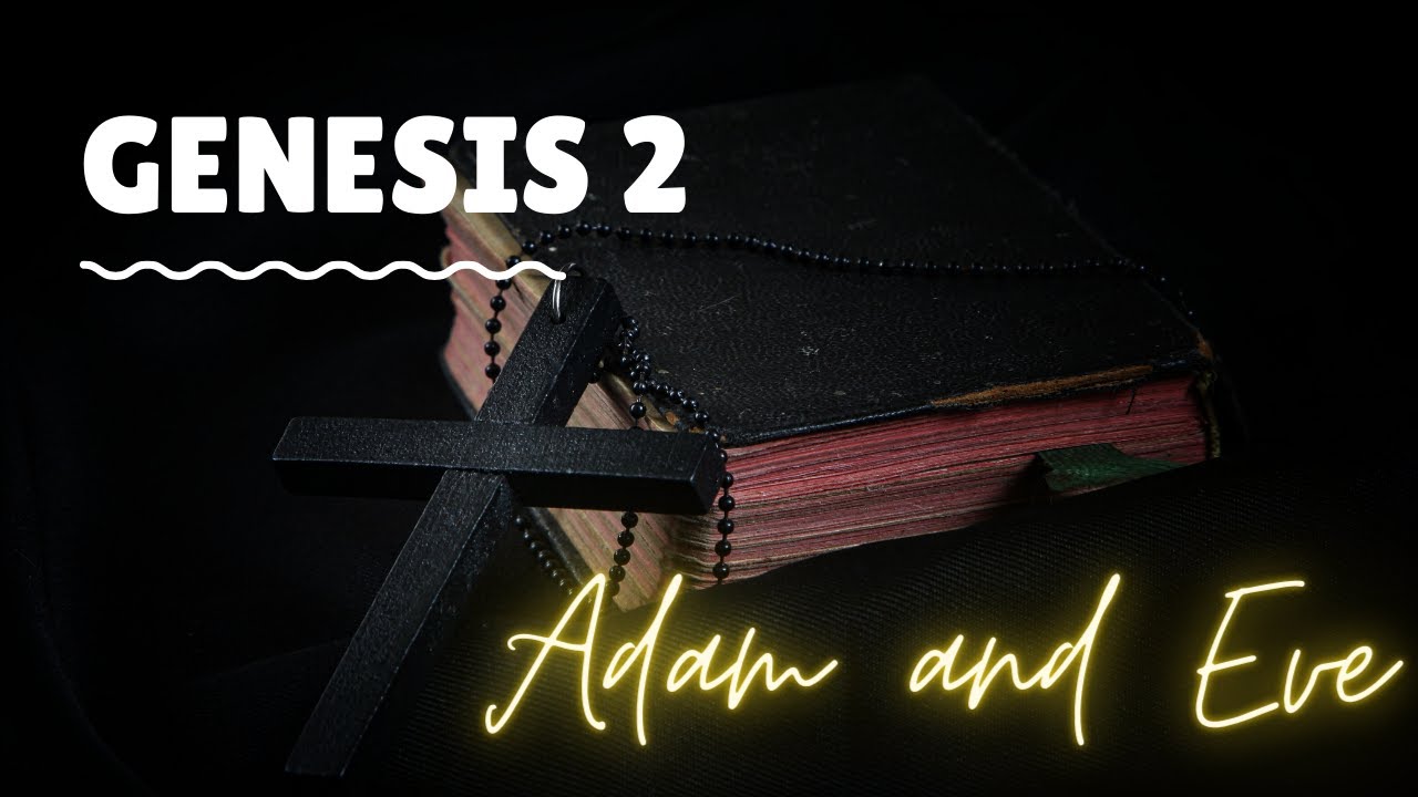 Genesis 2 - The 7th Day (Adam and Eve) | Bible Reading For Sleep ...