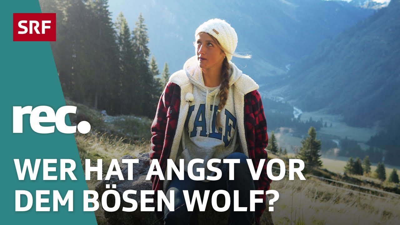 Leben mit dem Wolf – Zwischen Angst, Wut und Verzweiflung | Reportage ...