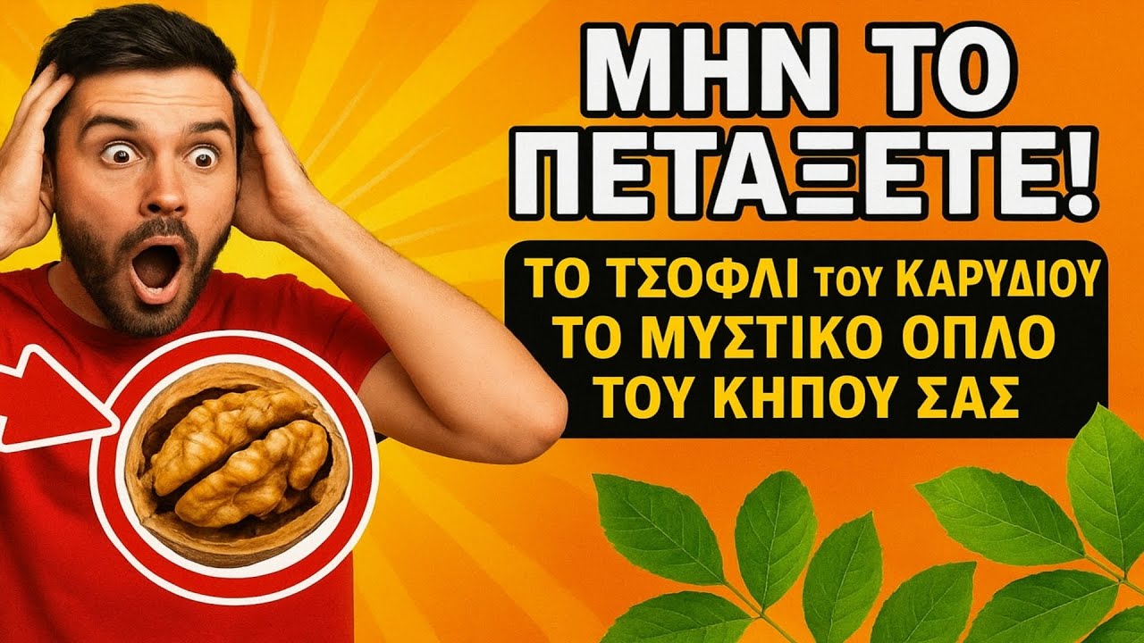 ΜΗΝ ΤΟ ΠΕΤΑΞΕΤΕ! 🌰 Το Τσόφλι του Καρυδιού: Το Μυστικό Όπλο του Κήπου ...