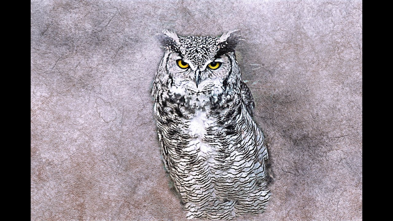 Der Hirte und die weise Eule - YouTube