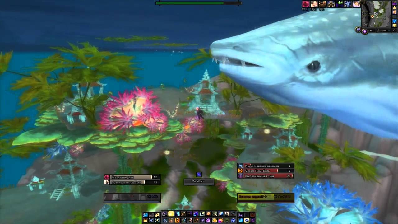 Shadow Priest Solo : Whale Shark (DA-HE) - YouTube