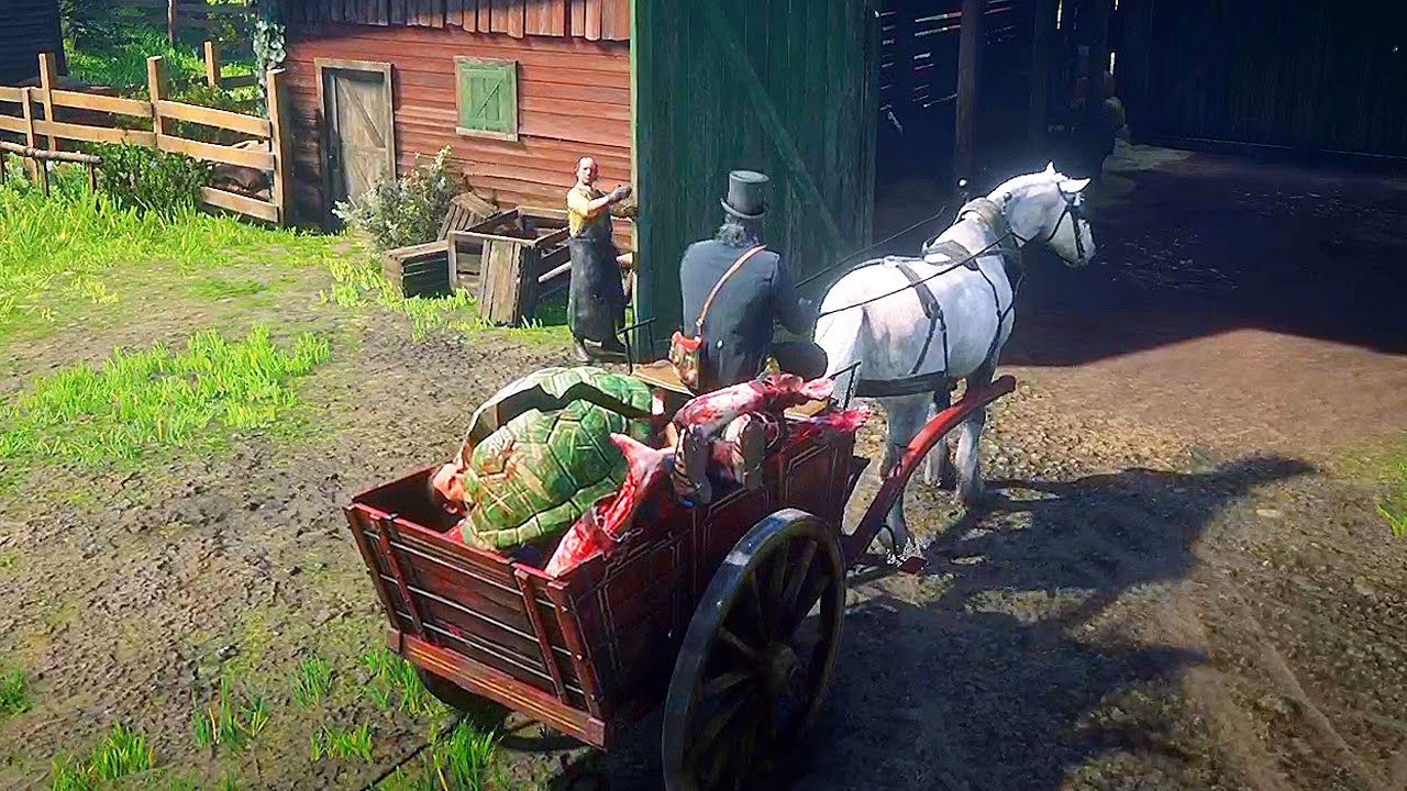 RDR2 - Seamus buys the Chelonians (he's insane) - YouTube