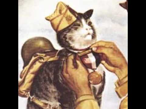 Sunshine - You Smoke Too Many Cigarettes