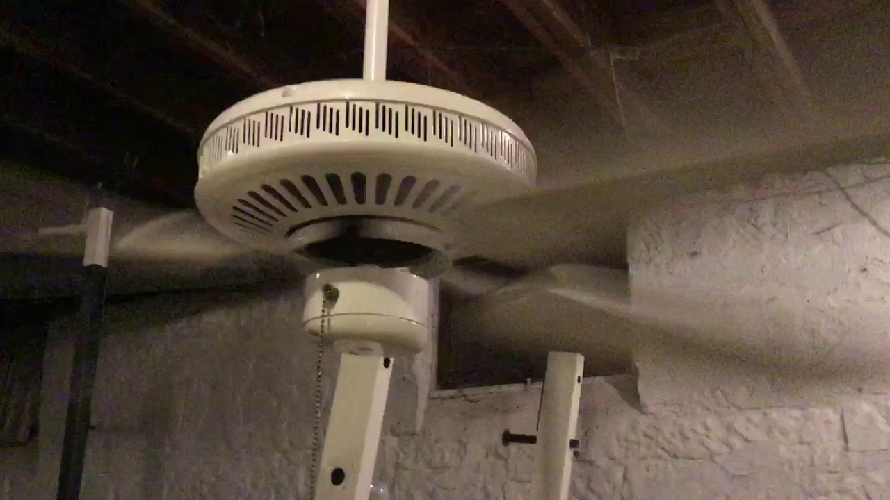 52” Forever Fan Ceiling Fan (4 Blades) - YouTube
