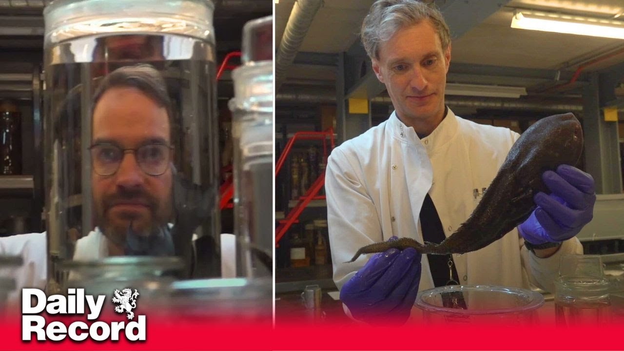 British researchers uncover mysteries of the deep sea in South Atlantic ...