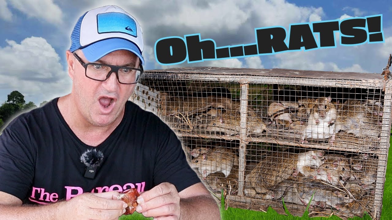 I ATE RATS for LUNCH in Vietnam! - YouTube