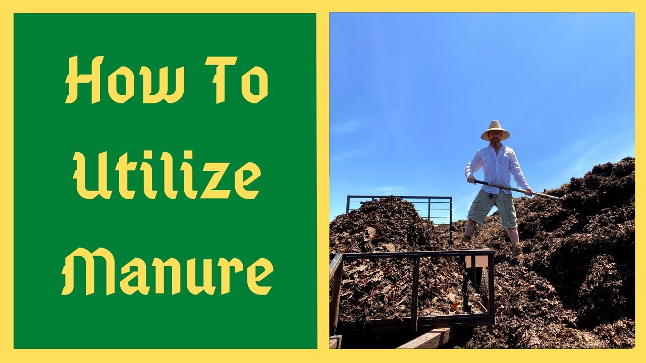 The Dirty Truth About Using Manure In The Garden - Ancient Fertilizer ...