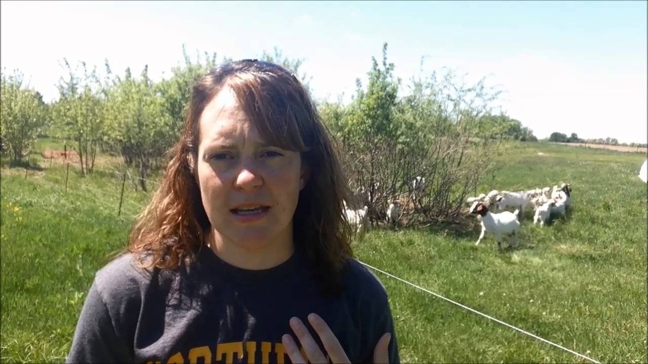 Welcome to my farm, Cylon Rolling Acres - YouTube