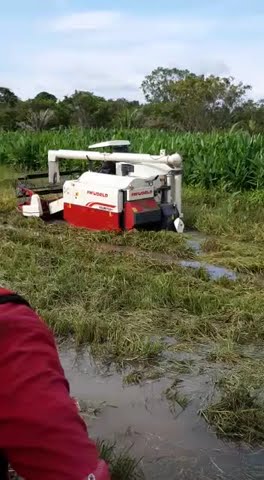 maquina recolectora de arroz cosechando en el fango - YouTube