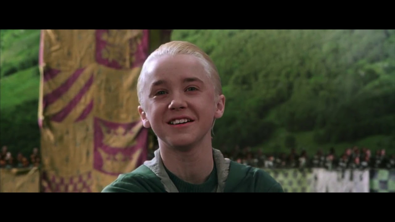 Quidditch, Second Year - Harry Potter and the Chamber of Secrets ...