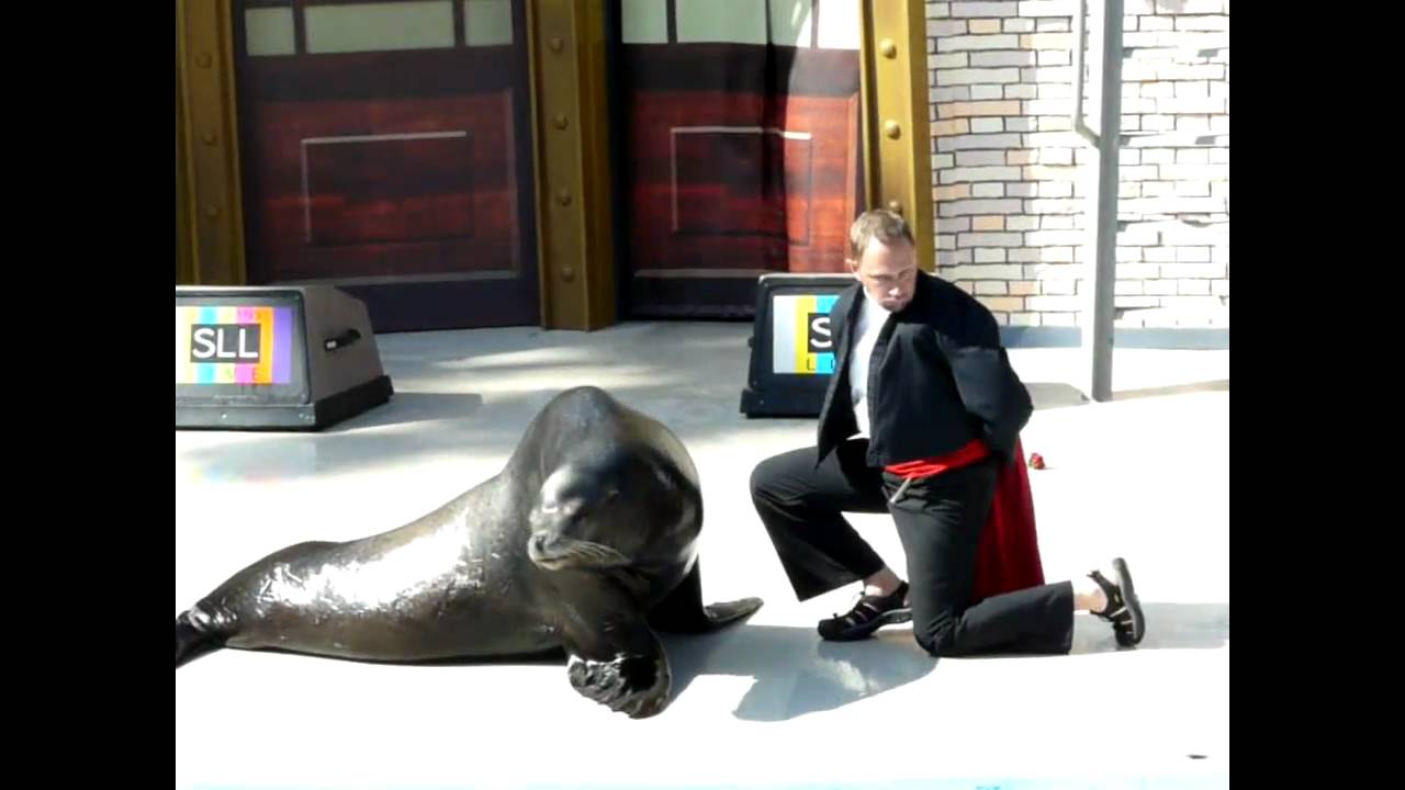 Dancing with Sea Lion II Tango - YouTube
