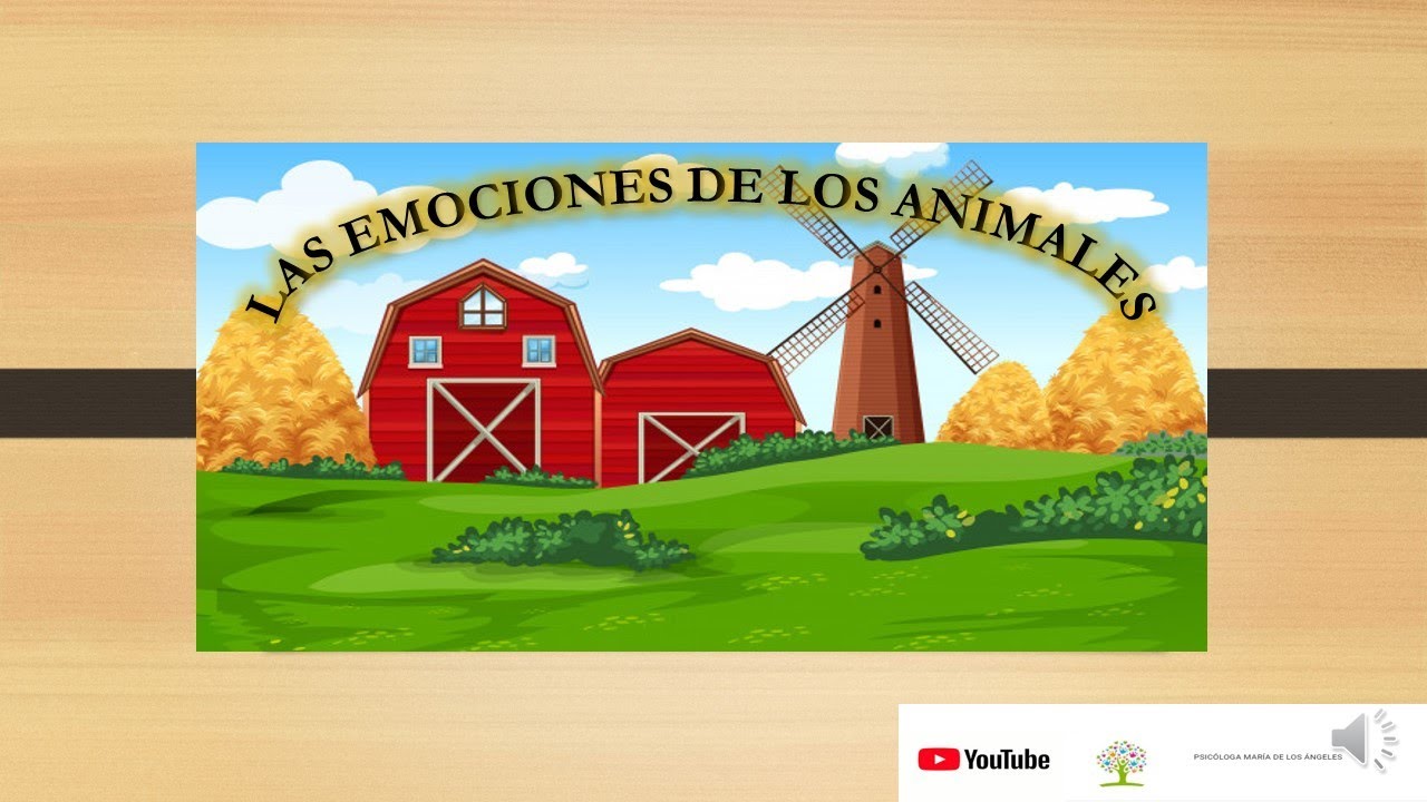 LAS EMOCIONES DE LOS ANIMALES - YouTube