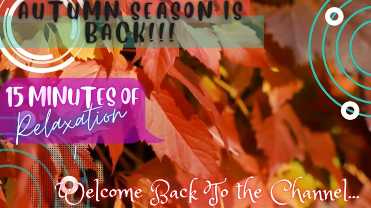 Autumn is Back! Best of Autumn Season Videos Compilation - YouTube