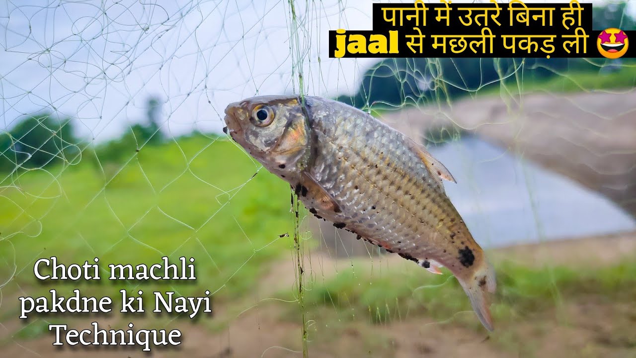 Indian Village Fish Catching || Jaal से मछली पकड़ने का अजीब तरीका मिल ...