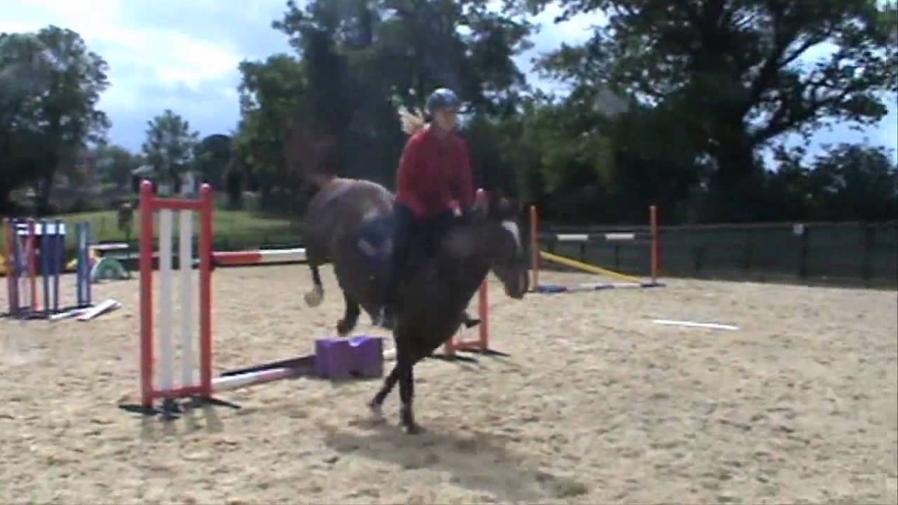 Lady Legend up to 1m40 - YouTube