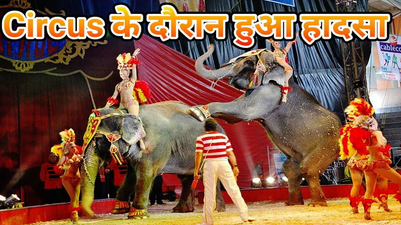 Indian Circus Gone Wrong (Big Mistake In History) ,2018 - YouTube