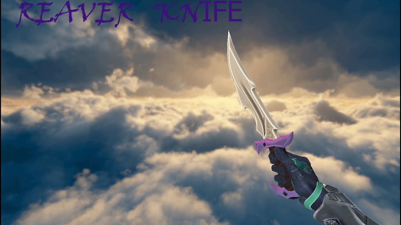 VALORANT REAVER KNIFE BETA ANIMATIONS SKIN PACK FOR CS 1.6 - YouTube