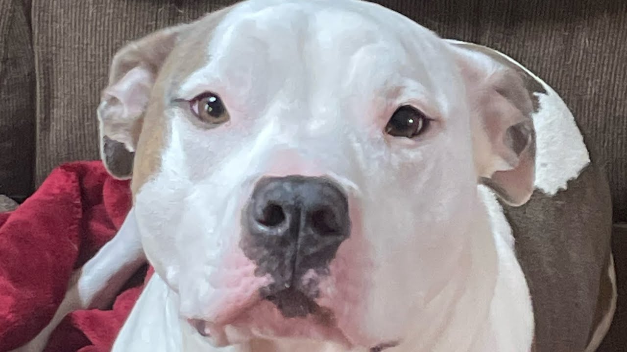 Powa Of Da Wildaness - YouTube