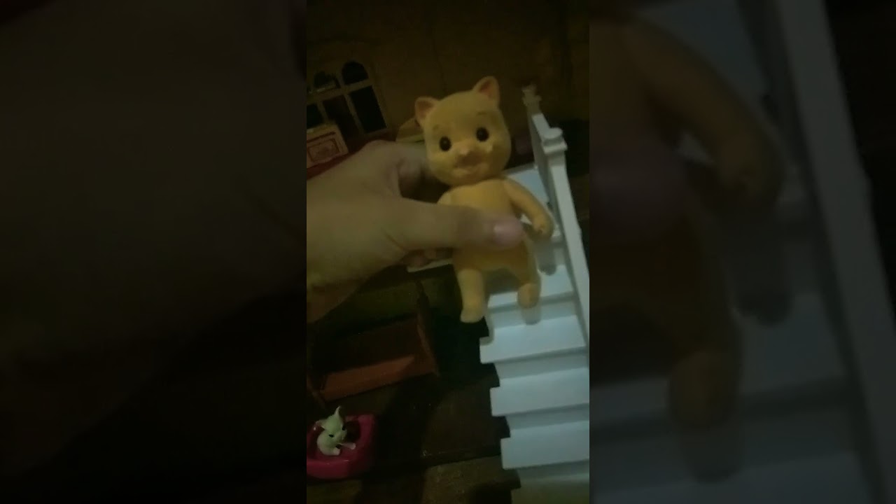 Noooooooooooooooo Youtube 8144