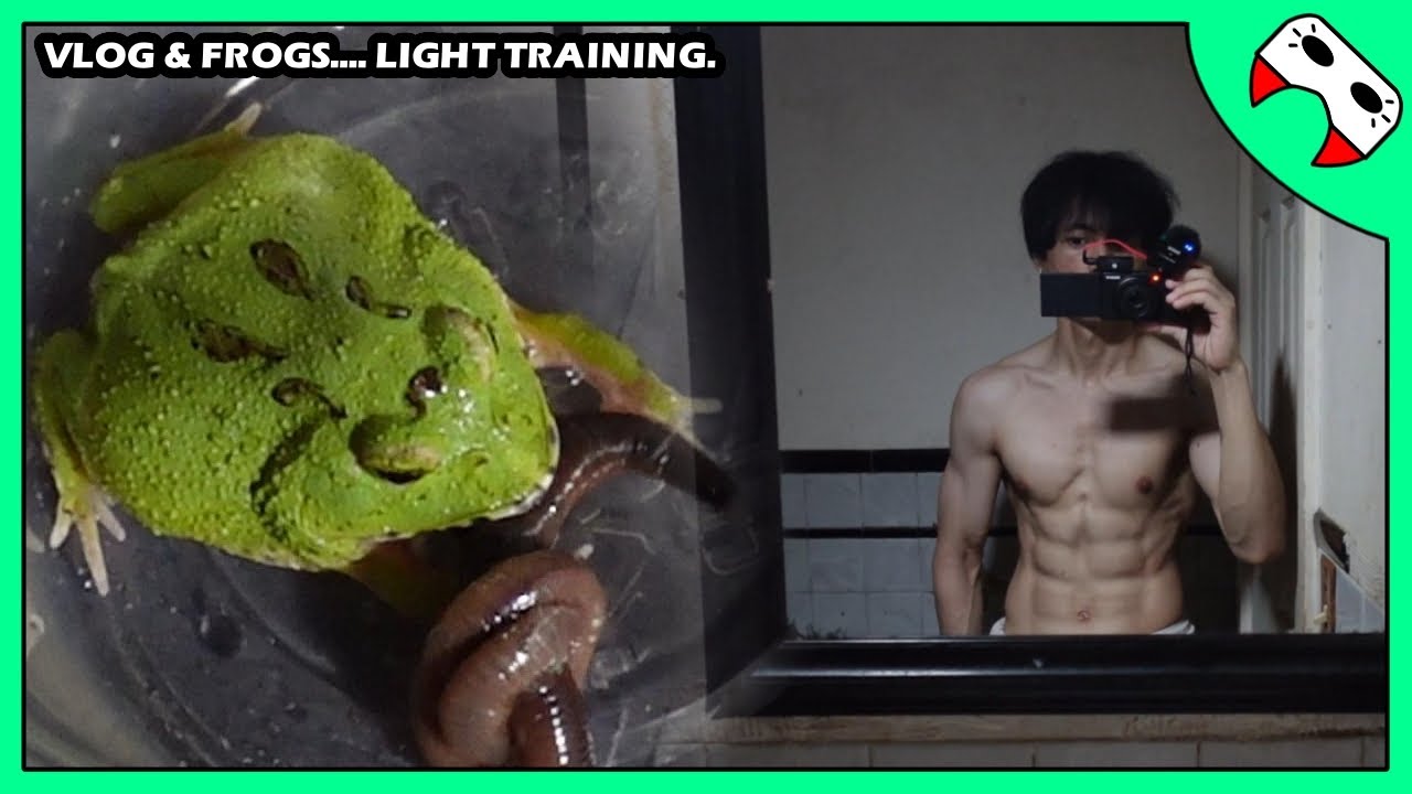 A Day With Frogs and Just Doing Things... Light Training Too. - YouTube