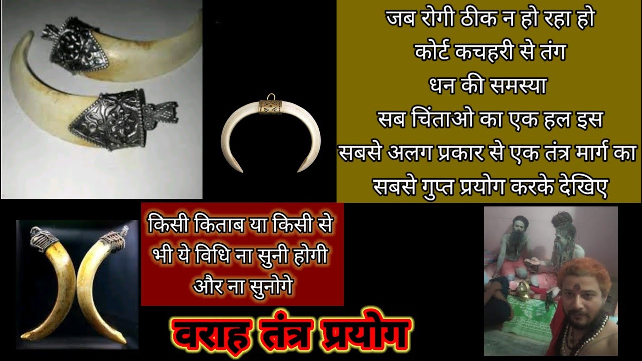 shukar dant | वराह तंत्र प्रयोग बहुत ही गुप्त अचूक प्रभाव - YouTube