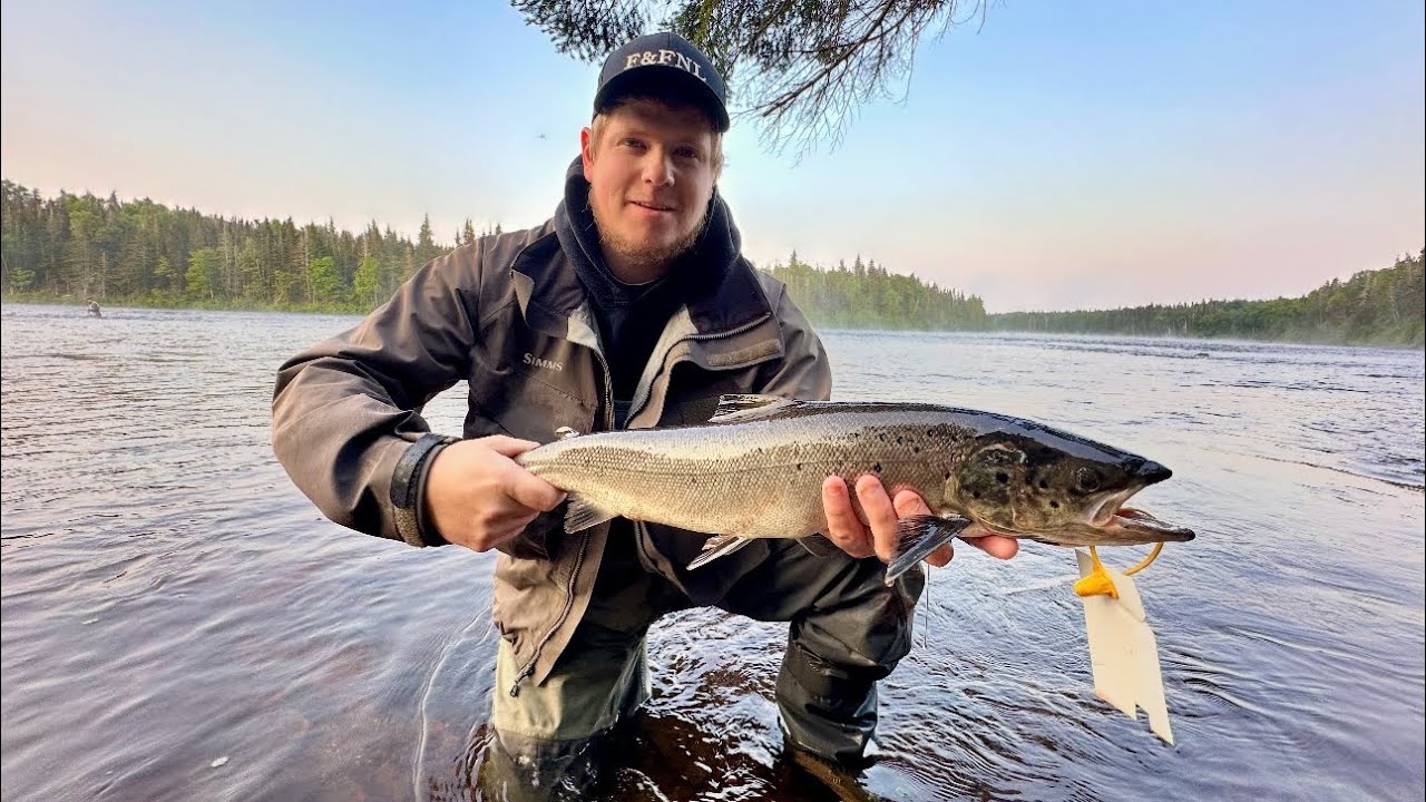 Quick Action Fly Fishing For Aggressive Atlantic Salmon ! ( HIS FIRST ...