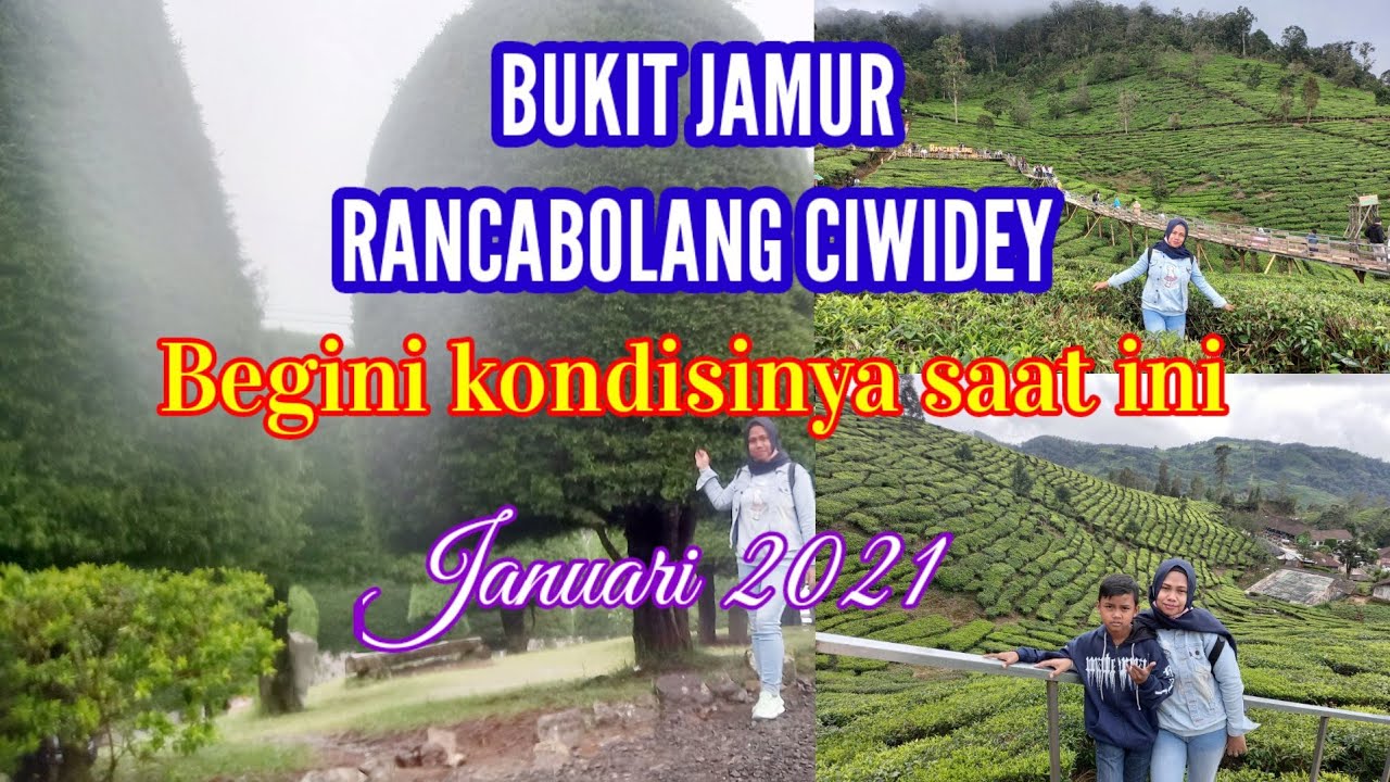 Bukit Jamur Rancabolang Ciwidey||terbaru januari 2021 - YouTube
