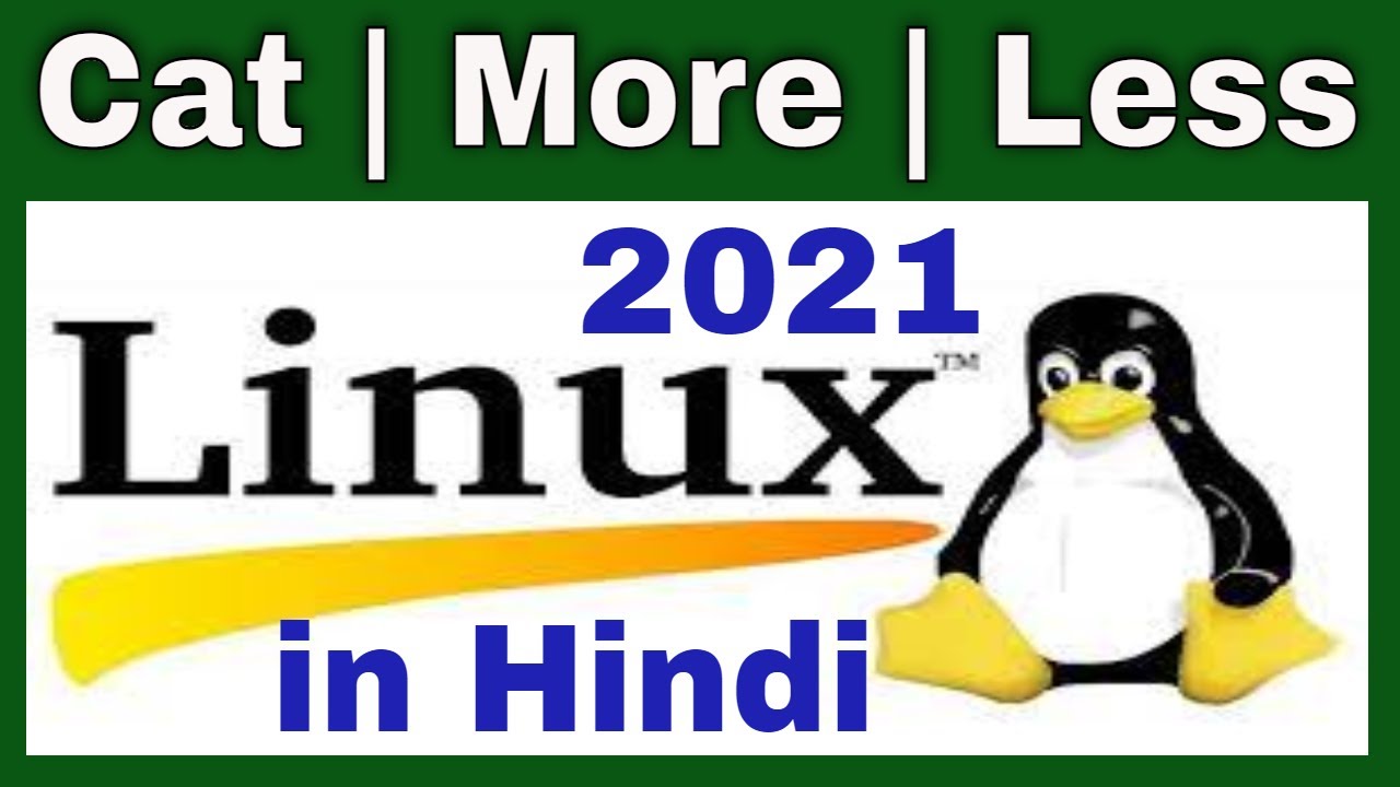 Kali Linux Basic Terminal Commands | Linux Cat Commands for Cyber ...