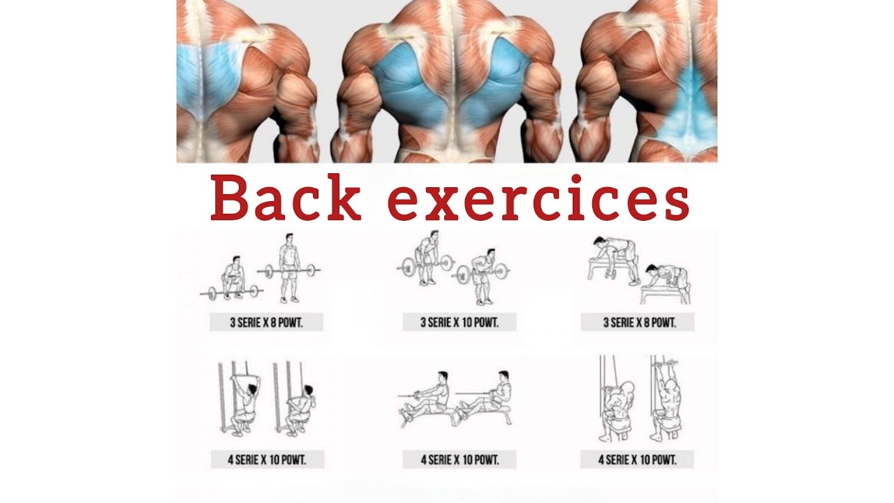 Back WOURKOUT exercices #backdayworkout #back # ...