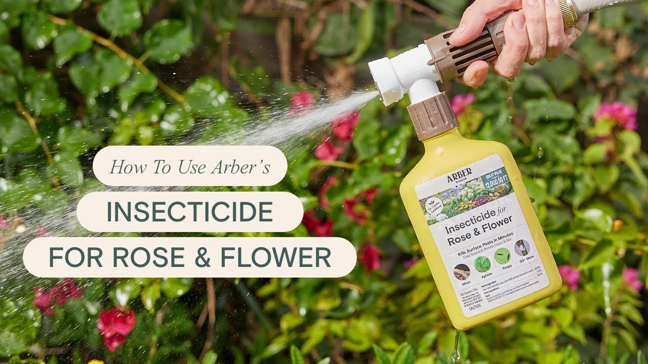 Ready to Spray Organic Insecticide: How to Best Use & Apply for Pest ...