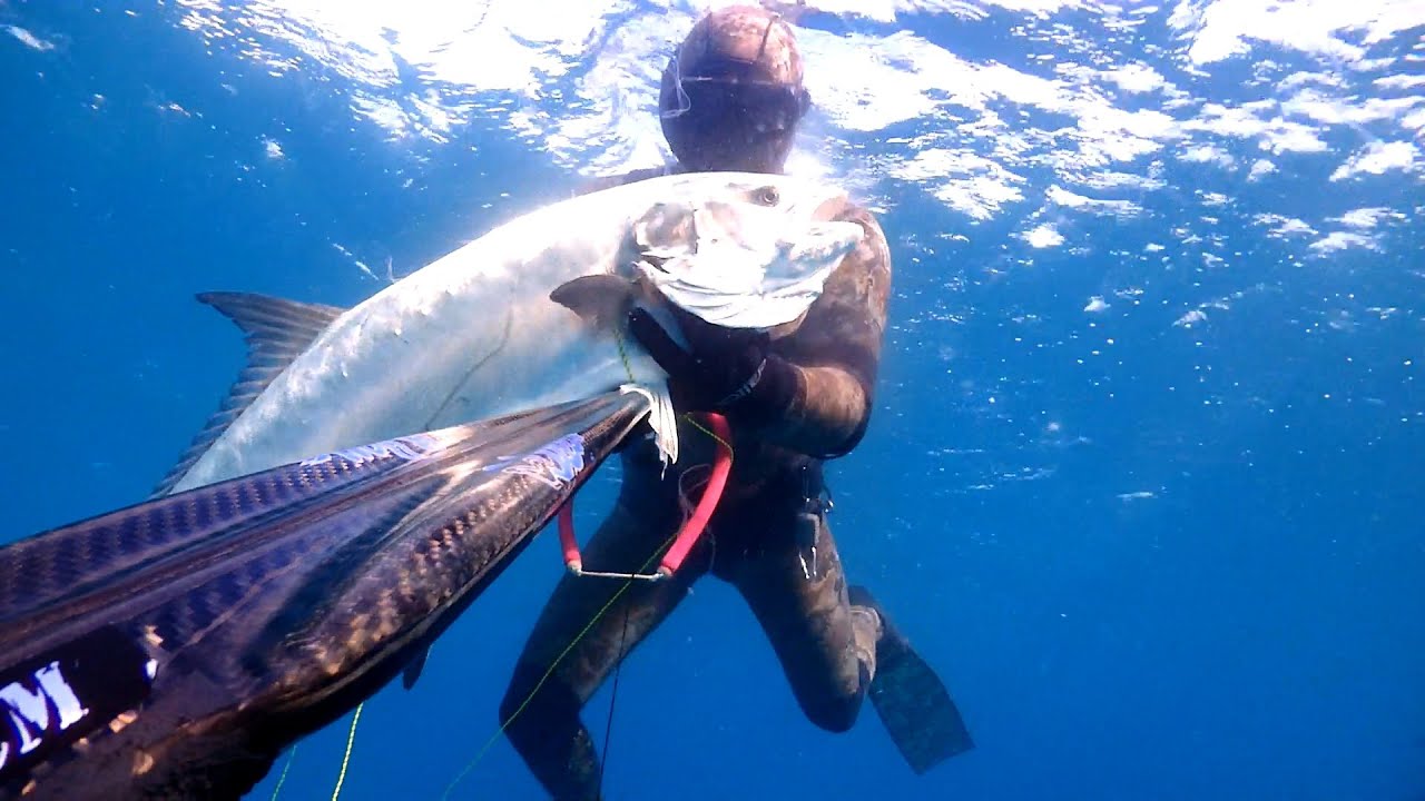 Μεγάλη Λίτσα με ψαροντούφεκο. Spearfishing. - YouTube